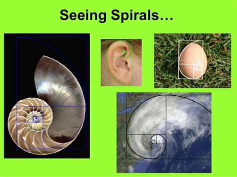 541 Interactive Ppt Fibonacci Sequence