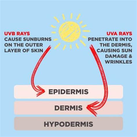 Broad Spectrum Sunscreen 1 Anti Aging Skincare Product Health Aesthetics
