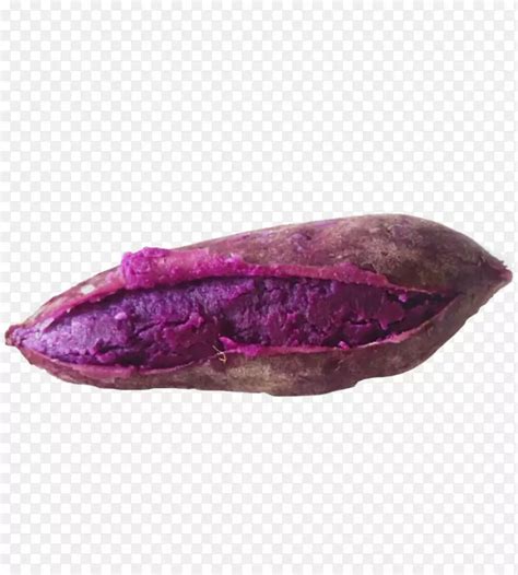 Png Png