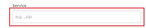 how to add srv records ehost