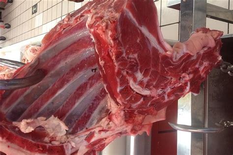 吃什么補充陽氣？5種食物或是陽氣“加油站”！