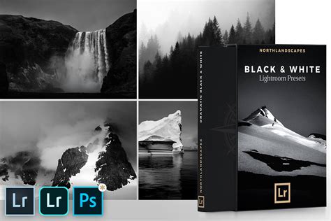 Lightroom Black And White Presets For Desktop And Mobile Dng