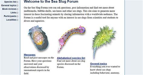 Sea Slug Forum Album On Imgur