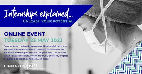 Internships Explained Internships Explained