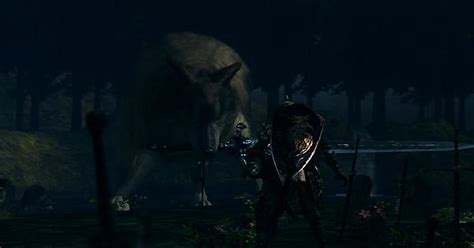 Great Grey Wolf Sif You Were A Worthy Adversary Imgur
