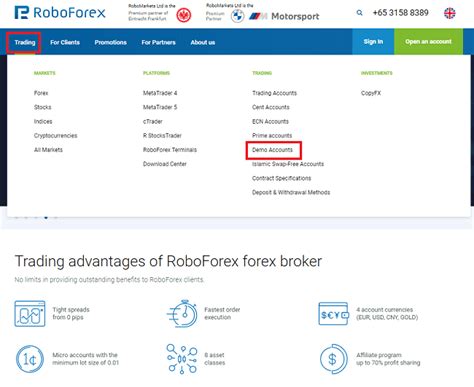 Roboforex Demo Account Tutorial For Beginners Forex Dominion