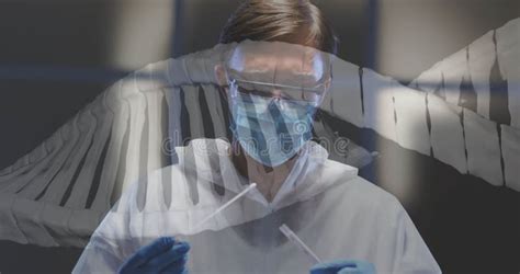 Medical Professional Analyzing Nasal Swab Sample In Clinical Lab Showing Skeletal Rib Cage