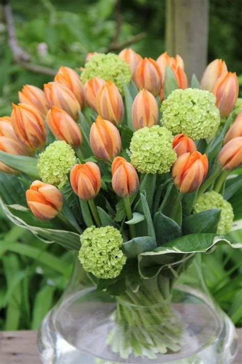 Natalca Beautiful Flowers Beautiful Flower Arrangements Tulips Flowers