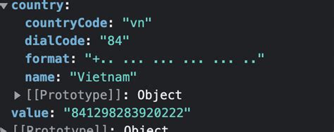 Vn Can T Enter Enough Digits To Satisfy Format Issue