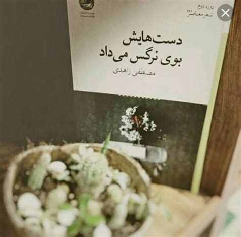 آخرین خبر کوچه باغ شعر