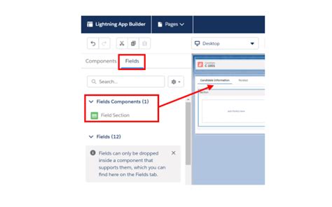 Complete Guide To The 1 Salesforce Feature The Dynamic Forms Areya