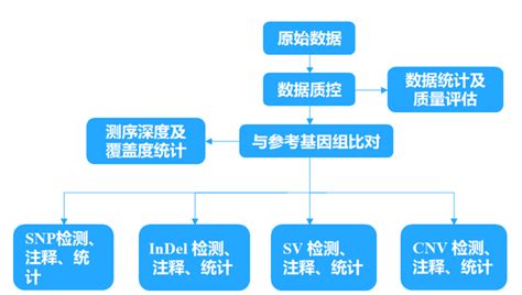 2020912丨变异检测的原理and应用方向ngs Call 结构变异的软件 Lumpy、manta Delly Csdn博客