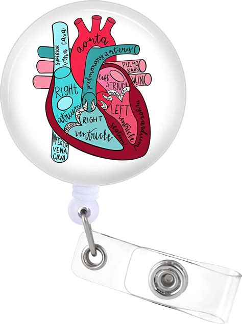 Amazon Dimeho 3PCS Cardiac Heart Phlebotomy Badge Reel Holder