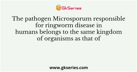 The Pathogen Microsporum Responsible For Ringworm Disease In Humans