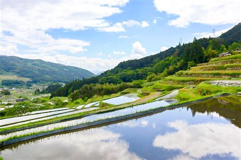 坂折棚田田園岐阜県恵那市の観光撮影スポットの名所 東海カメラマップ