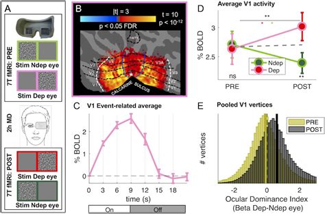 Figures And Data In Response To Short Term Deprivation Of The Human