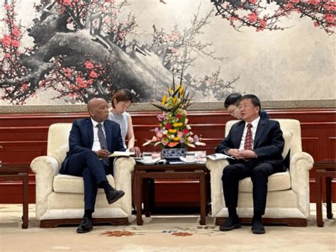 唯一民营企业！南非电力部长到访中环新能源控股集团公司的发展合作