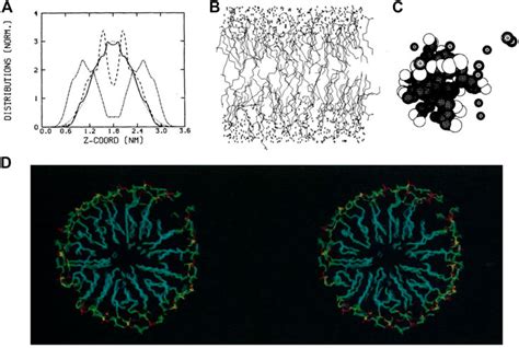 Frontiers A Brief History Of Visualizing Membrane Systems In Molecular Dynamics Simulations