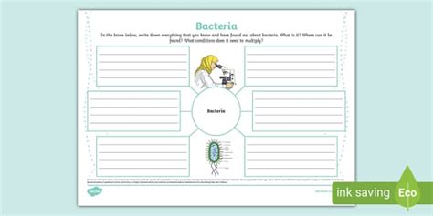 Bacteria Mind Map Lehrer Gemacht Twinkl