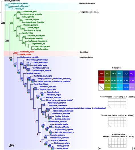 A Combined Tree Under Extended Implied Weighting Block Weighting