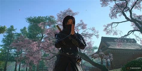 Assassins Creed Shadows сюжет