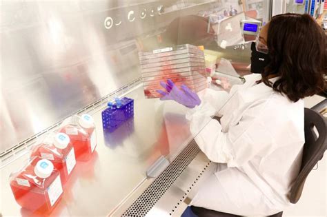 Kevin Hatton On Linkedin Vaccine Sciences Laboratory Services Ppd