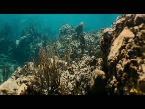 NO LIMIT NUDE SCENES AZNude