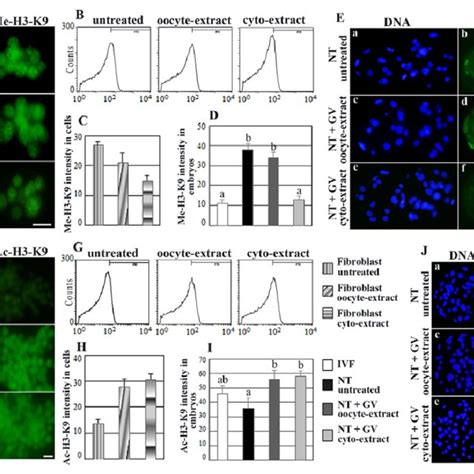 Details Of Preparation Of Oocyte Extract And Plasmid Used For