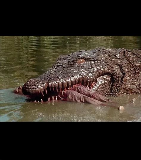 Scp Idea By Scpvsjojo On Deviantart