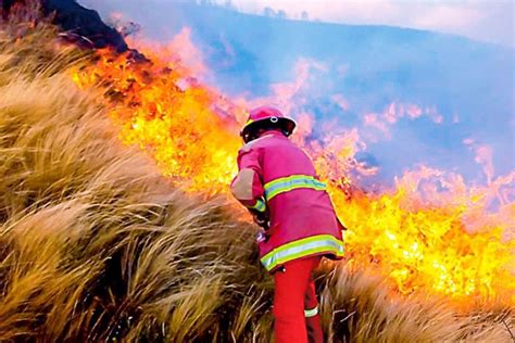 Incendios Forestales Afectan 5 Lugares Turísticos Y 16 áreas Naturales