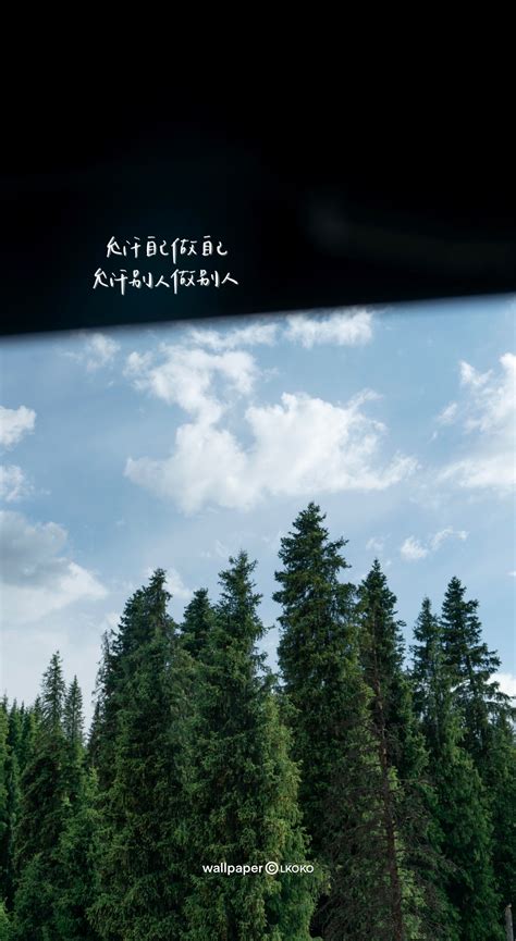 “人生是旷野，不是轨道。”财经头条