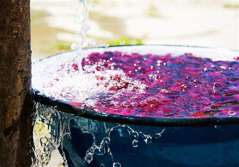 Phụ Nữ Làm Sao để Ra Nhiều Nước Khi Quan Hệ Tazama