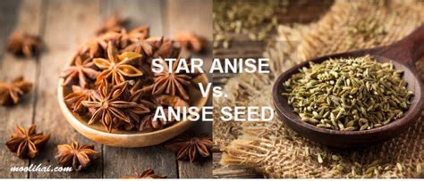Star Anise Vs Anise Seeds
