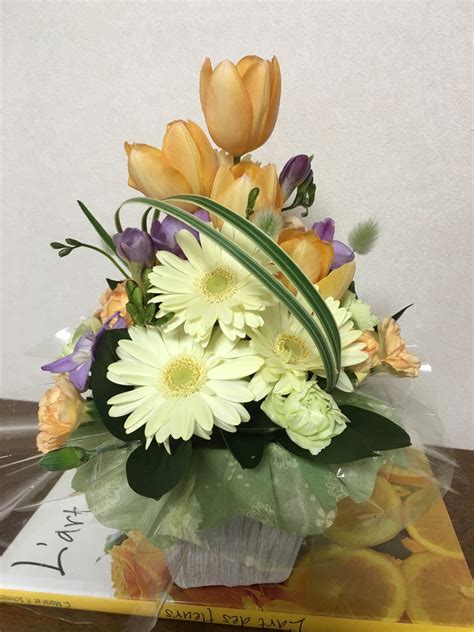 お見舞いの花 と 寒さで凍った金のなる木 お花の教室 English Flower