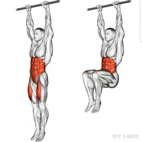 十大腹肌训练动作之一：悬挂提膝 知乎