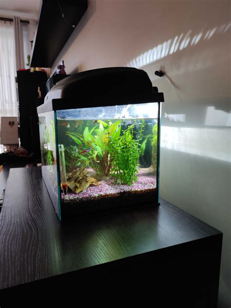 Akwarium Aquael 25l Białystok Skorupy • OLX.pl