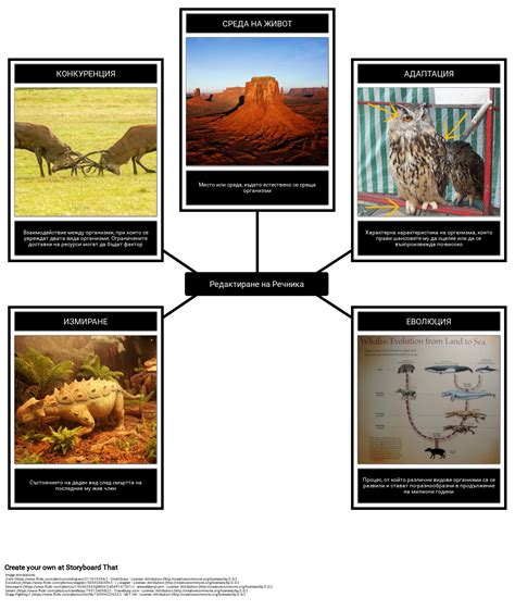 Редактиране на Речника Storyboard par bg examples