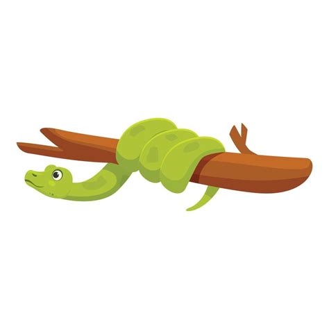 Green Tree Python Hanging On A Branch 50042949 Vector Art At Vecteezy