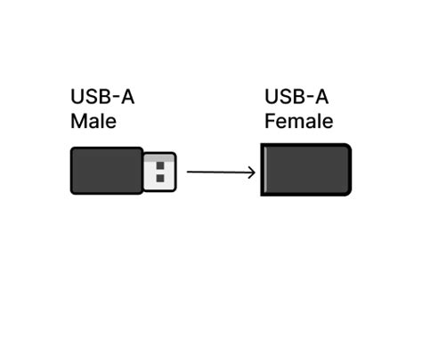 USB Types And Connectors Guide Newnex