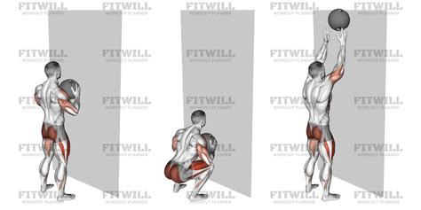 Medicine Ball Throw Squat With Wall Exercise Guide Video Techniques