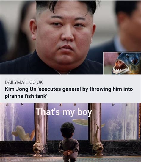 Cats In The Cradle Explained Cat Meme Stock Pictures And Photos My Xxx Hot Girl