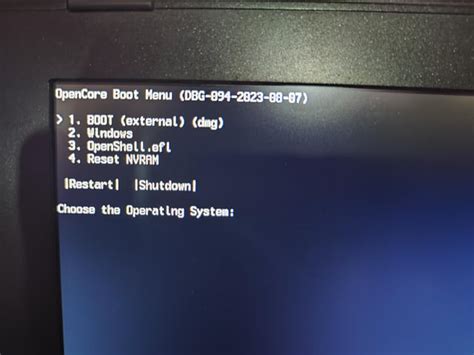 No Install Option On First Boot Rhackintosh