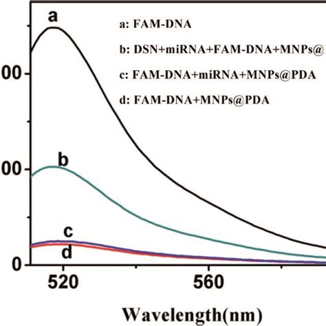 Fluorescence Emission Spectra Of A Fam Dna B Dsn Mirna Fam Dna
