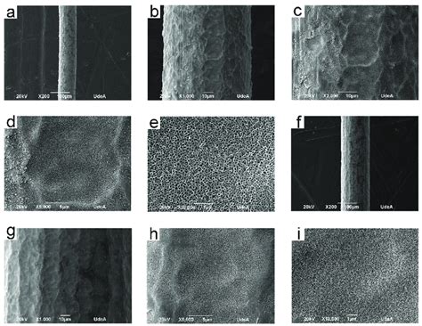Sem Micrographs Of Heat Treated At 350°c Anodized Titanium Wires S3
