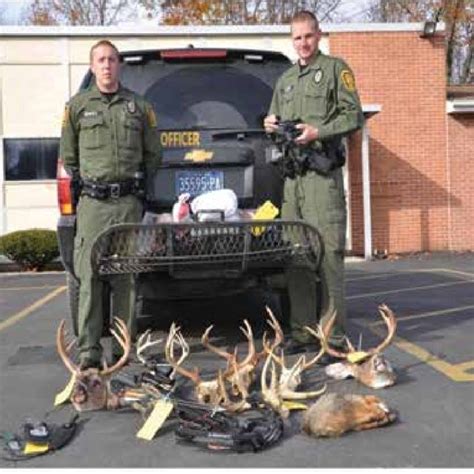 Pdf Cracking Down On Wildlife Crime How Wildlife Law Enforcement