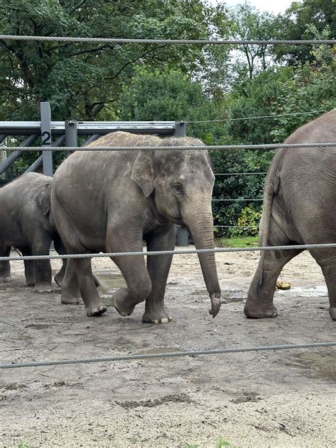 🎓 Graduated 🎓 I Am Proud To Share That As Of January I Have Officially Graduated From My