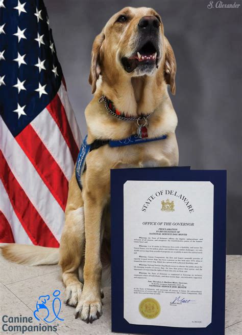 Dph Offers Back To School And Sports Physicals At Clinics Across Delaware State Of Delaware News