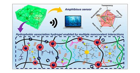 Hydrophobic Association Hydrogel Enabled By Multiple Noncovalent Interactions For Wearable
