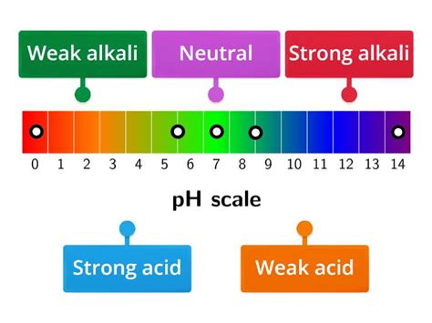 Ph Scale Ks3 Labelled Diagram