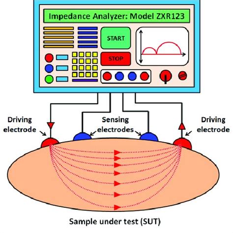 Pdf Bioelectrical Impedance And The Frequency Dependent Current